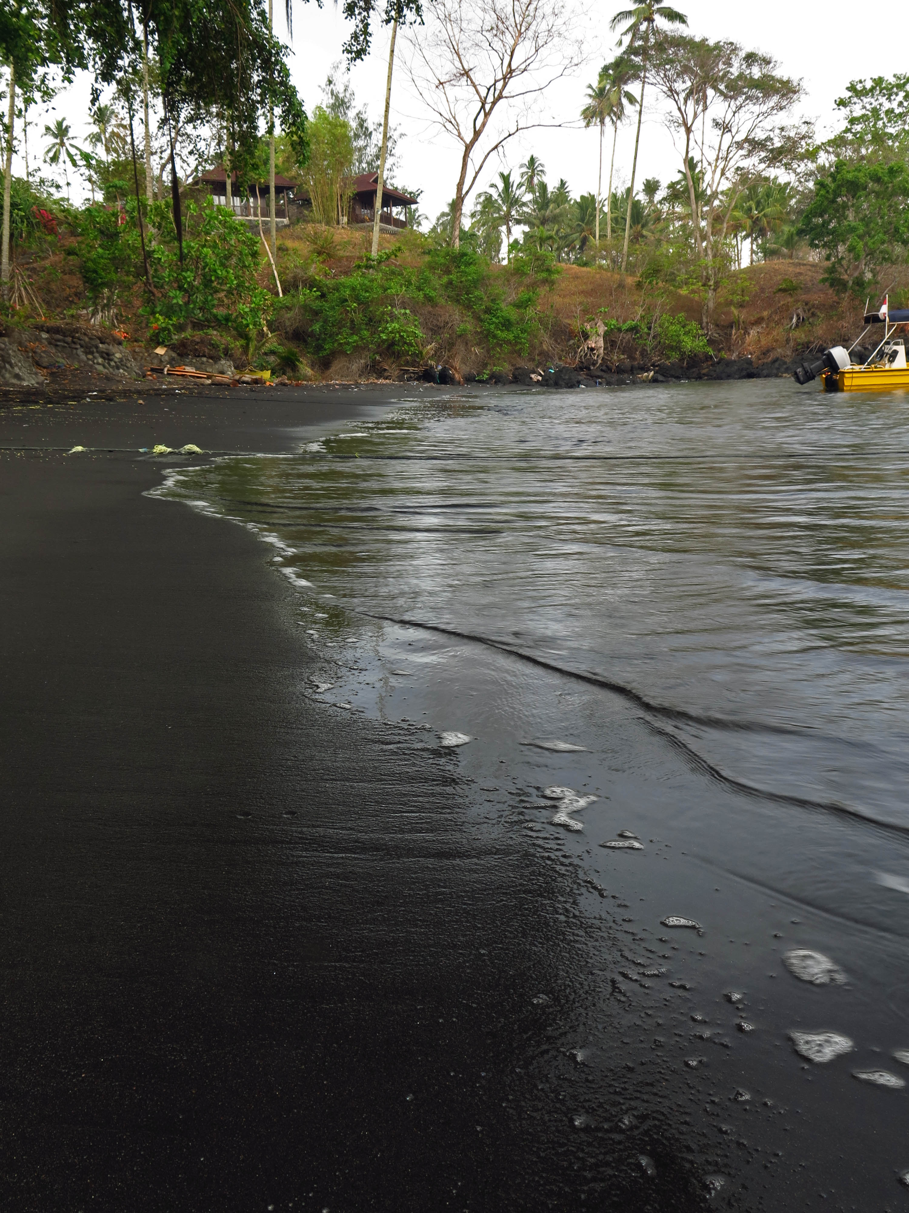 Black sand: Origins | Critter Research